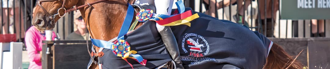 USEA | USEA American Eventing Championships