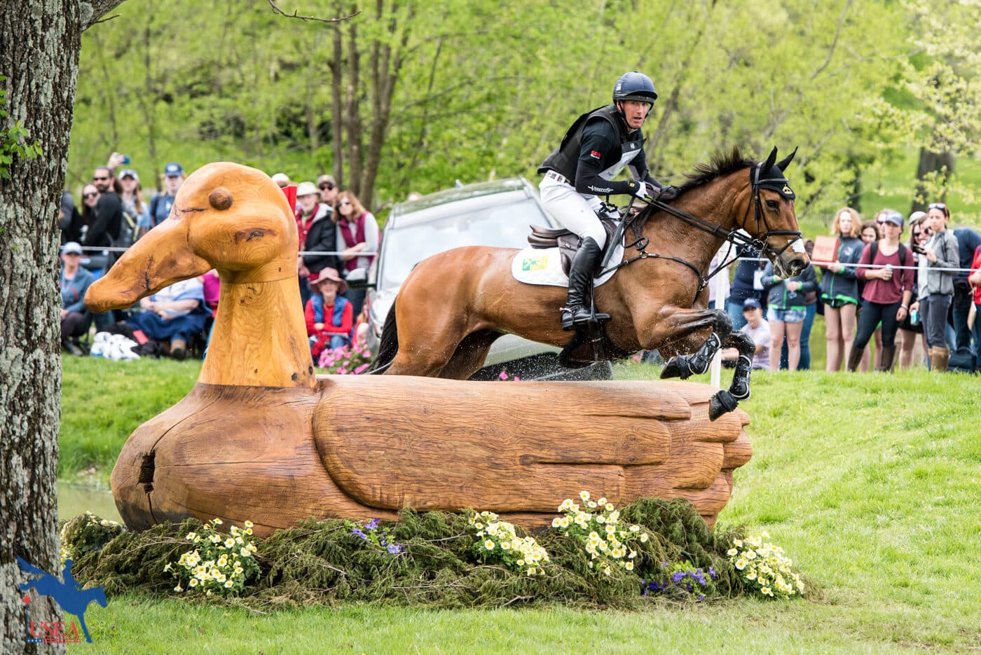 USEA | Rule Refresher: Cross-Country Obstacles