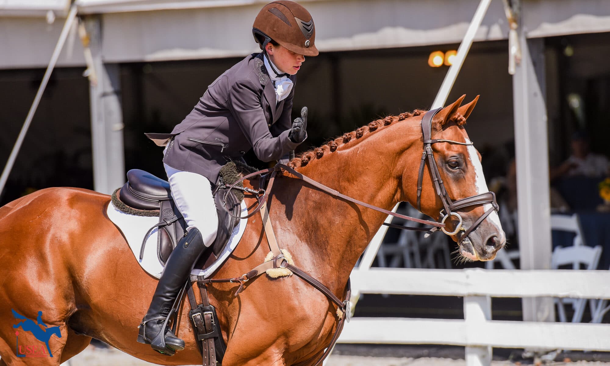 USEA | How Strong is Your Novice Game?