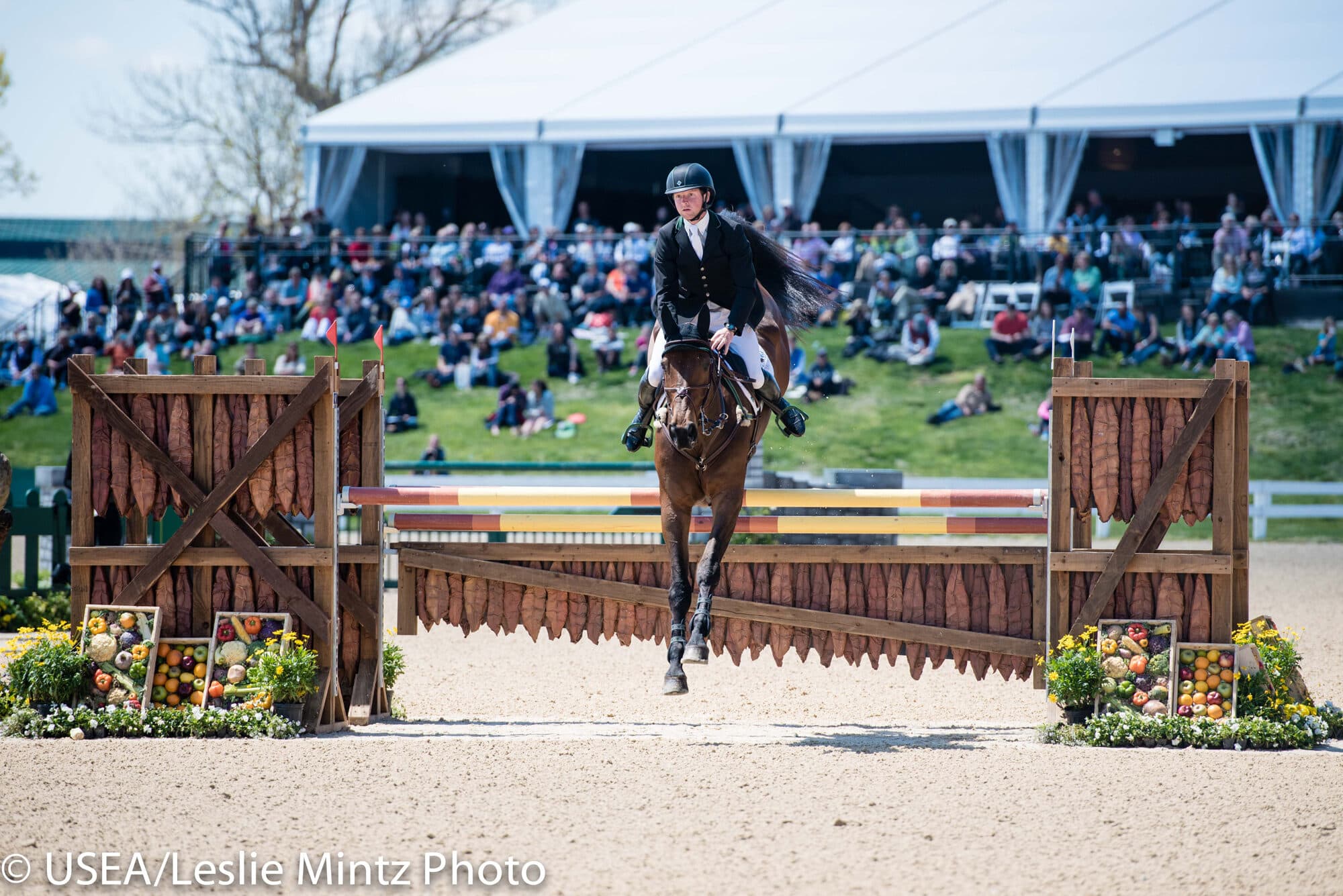 USEA | Grid Pro Quo with Tim Bourke
